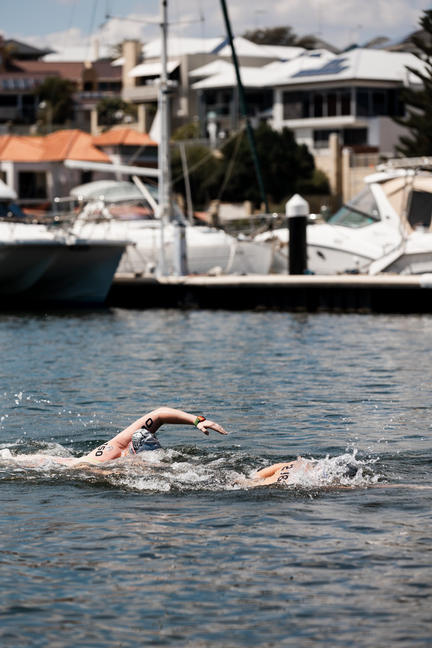 Results: OWS Series – Mindarie marina series finalE! – Open Water Swimming