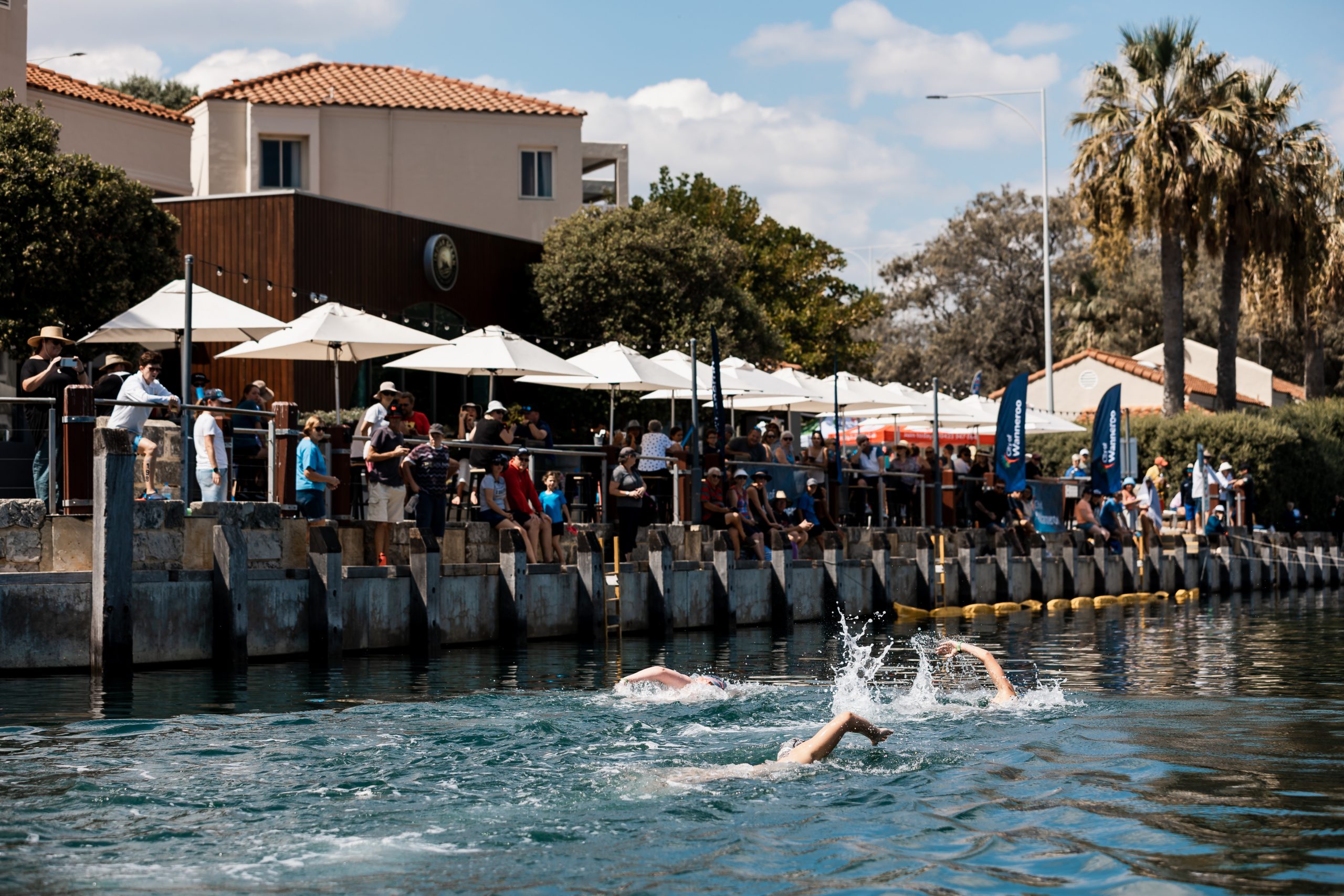 Results: OWS Series – Mindarie marina series finalE! – Open Water Swimming